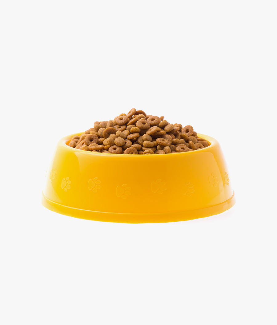 Kate | Shopify Theme – Kate (password: buddha)